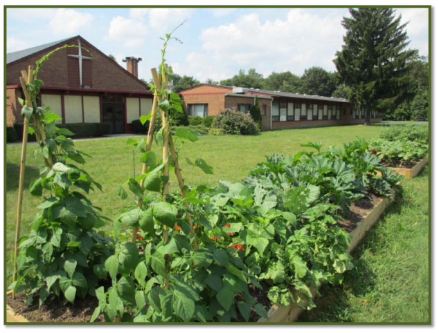 LICAN – Connecting people to the land, gardening skills, and to fresh ...